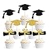 Amazon.com: DIY Graduation Cupcake Toppers For Graduation Party Mini ...