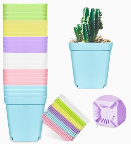 Amazon.com: Hahood 160 Pieces Square Flower Plant Pots 3 Inch Flower ...