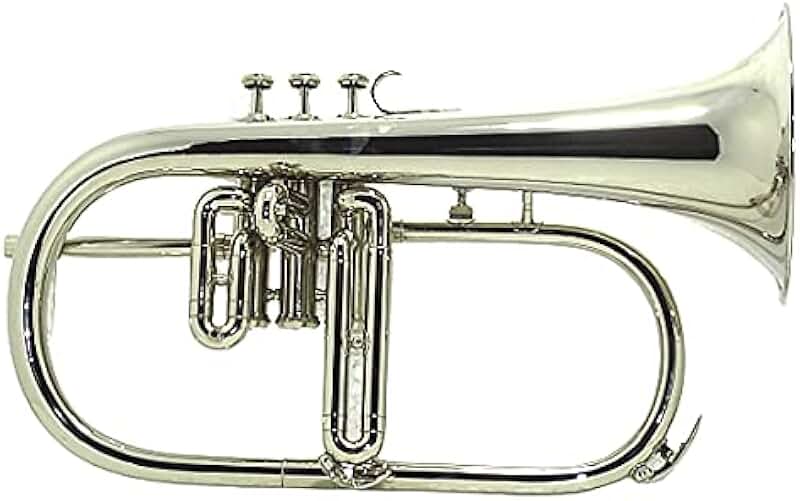 Amazon.com: Flugelhorns - Flugelhorns / Brass Instruments: Musical ...