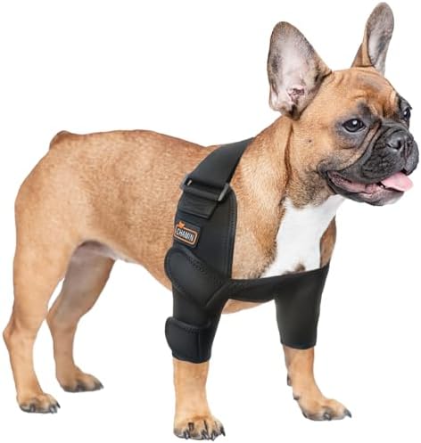 Amazon.com : CHAMIN Dog Elbow Brace for Elbow Support and Protection ...