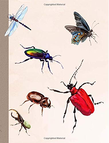 Insects - Wide Rule Writing Book: Bugs Beetles and Butterflies Notebook ...