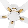 Smart Low Profile Ceiling Fan with Lights, DC 10 Speeds Smart Ceiling ...