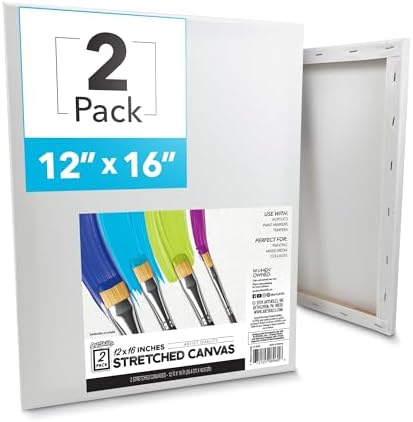 Amazon.com: Pre Stretched Canvas 18x24 2 Pack Large Stretched Canvases ...