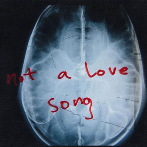 not a love song Song von tan feelz aus dem Album not a love song auf ...