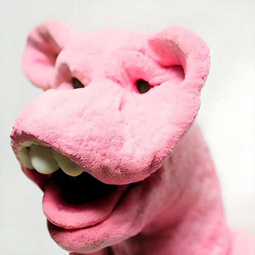 Play FAMILY HORROR by Pink Not Girls on Amazon Music