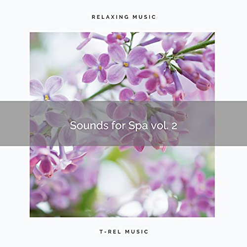 Amazon.com: 2021 Sounds for Spa vol. 2 : Spa Music Hour: Digital Music