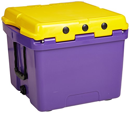 K2 Coolers Summit 30 Cooler – Mini Fridge