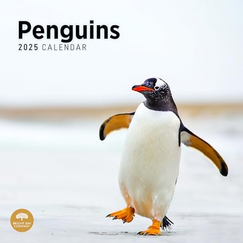 2025 Penguins Monthly Wall Calendar by Bright Day, 12 x 12 Inch Cute ...