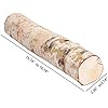 Amazon.com: 6 Pack Large Birch Logs for Fireplace Unfinished Wood ...