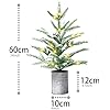 Amazon.com: Small Christmas Tree 24 inch Mini Christmas Tree Pre-lit ...