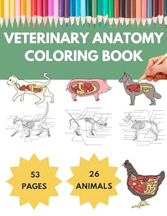 Amazon.com: Veterinary Anatomy Coloring Book for Adults: Animal Care ...