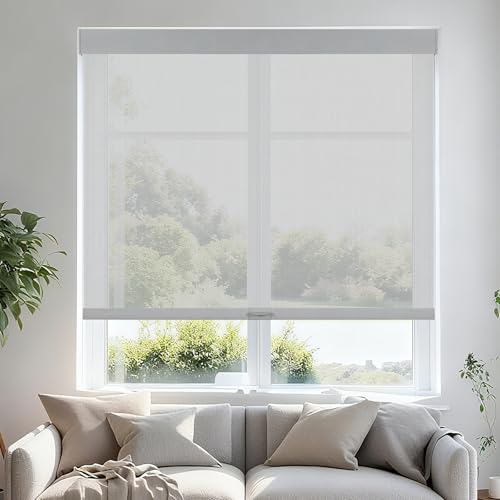 Best See-Through Window Shades for Clear Privacy and Light Control ...