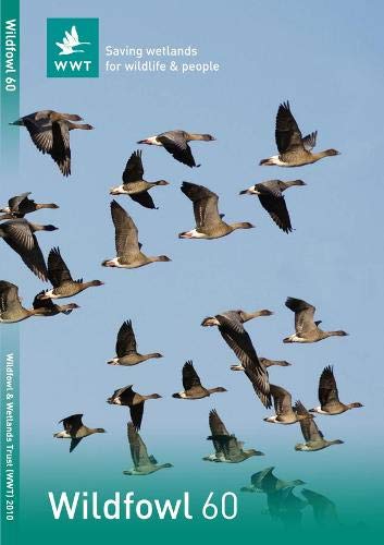 Buy Wildfowl 60 (Wildfowl Journal) Book Online at Low Prices in India ...