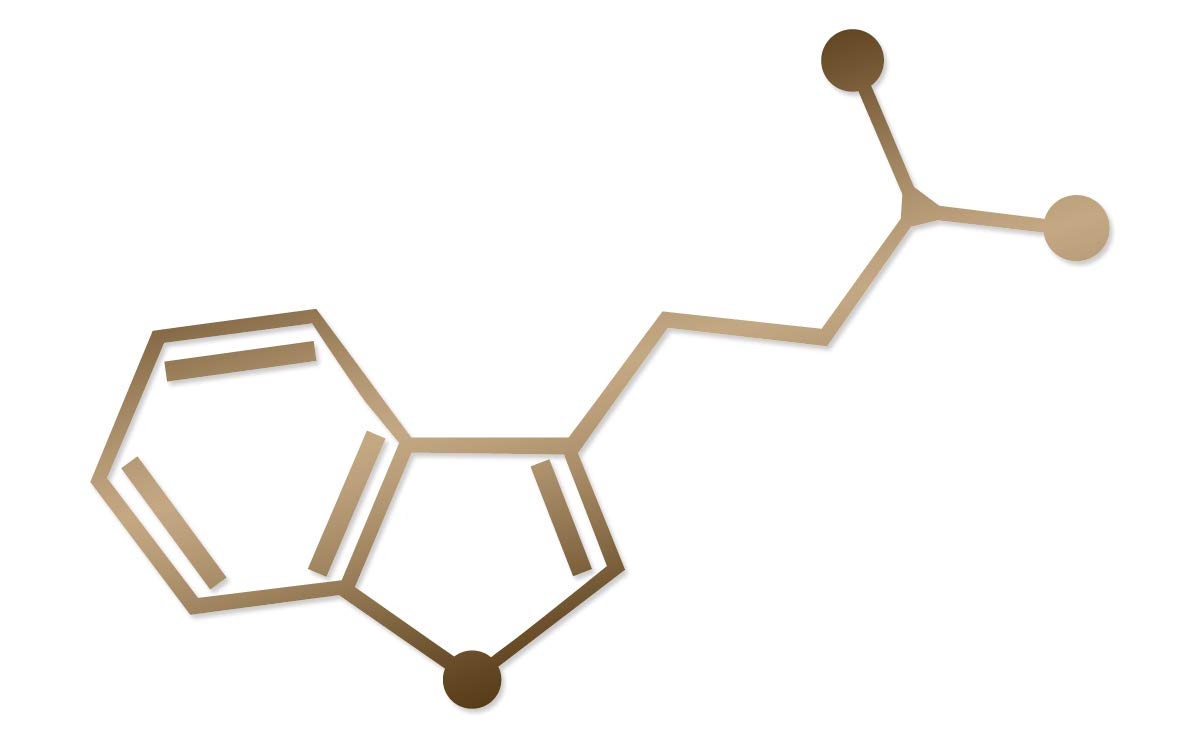 Dmt Molecule Structure