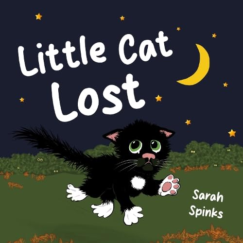 Little Cat Lost : Spinks, Sarah, Simpson, Janet: Amazon.co.uk: Books