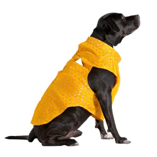 Barks & Wags Pet Sherwani – Royal Silk Fabric Ethnic Wear for Diwali ...