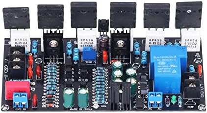 Amplificateur mono de 300 W, prise en charge du haut-parleur de 38,1 cm ...