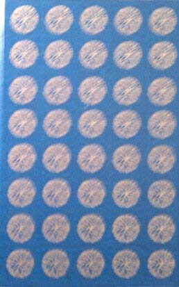 Voices within the ark: The modern Jewish poets: Howard Schwartz ...