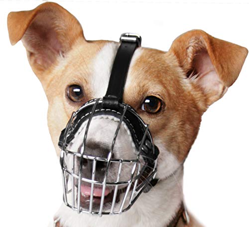 Maulkorb Hund Metall – Die 15 besten Produkte im Vergleich ...