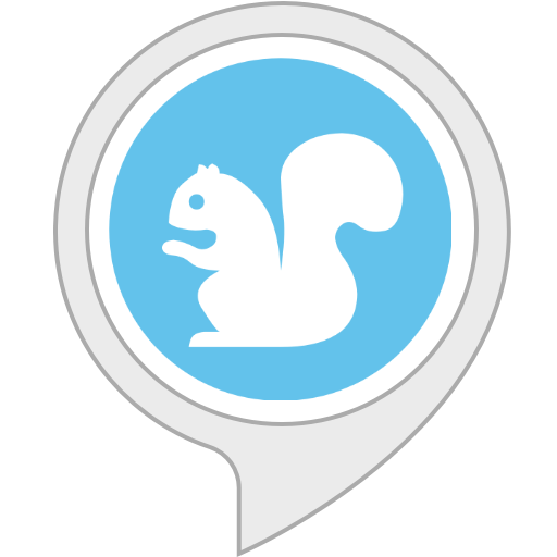 Amazon.in: null : Alexa Skills