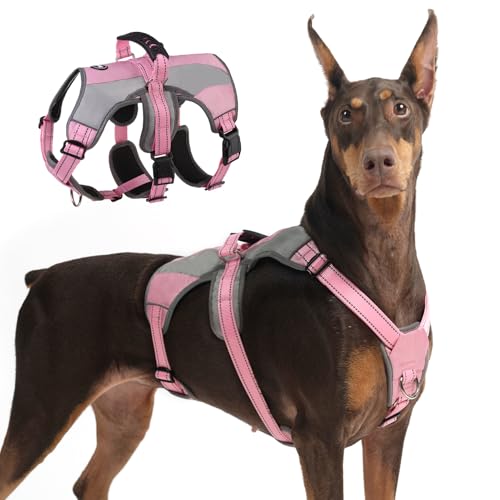 No Escape Dog Harness – The 15 best products compared - Wild Explained