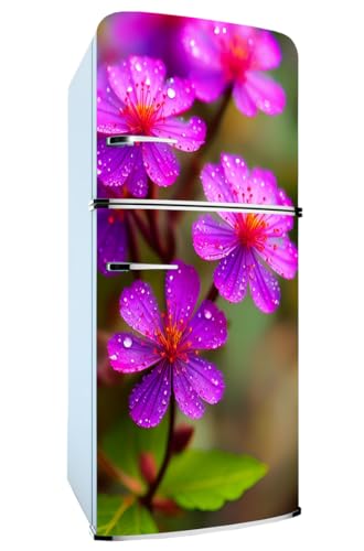 Amazon.in Bestsellers: The most popular items in Fridge Stickers