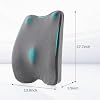 Amazon.com: CUISIBOT Lumbar Support Pillow for Office Chair – Premium ...