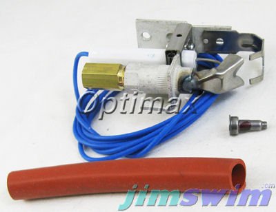 Amazon.com: Raypak IID Pilot Assembly 002003F Natural Gas and Propane ...