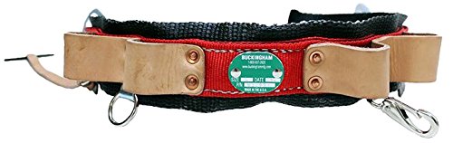 Buckingham 38523Q1-S Ladder Belt : Amazon.in: Clothing & Accessories
