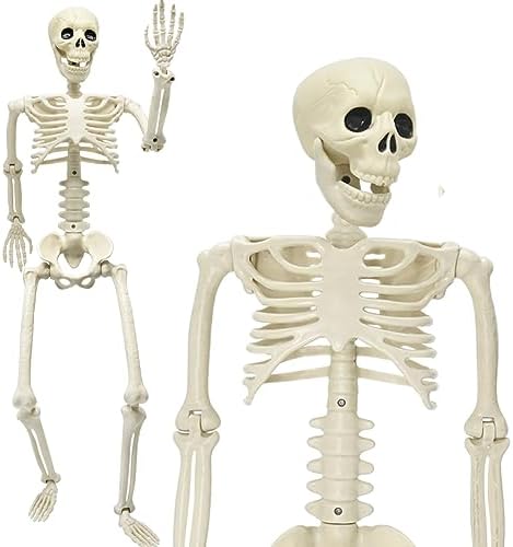 Amazon.com: WODMAZ 36" Halloween Skeleton Decoration, 3FT Realistic ...