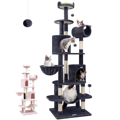 Tall Cat Tower – The 15 best products compared - Wild Explained