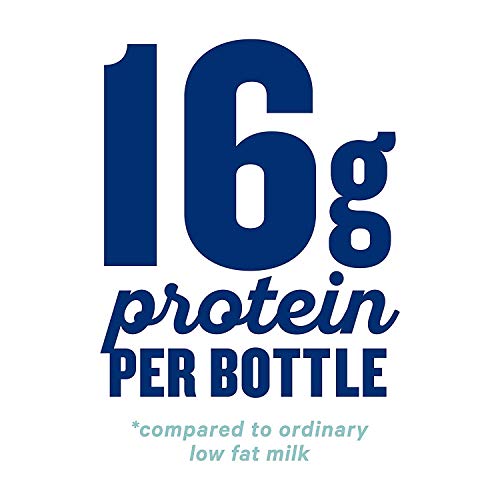 fairlife YUP! Low Fat, Ultra-Filtered Milk, Rich Chocolate - Want It All