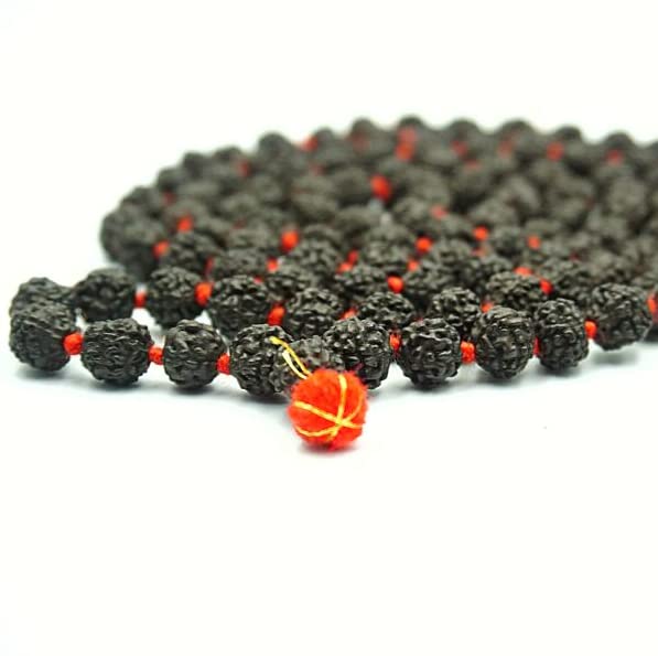 OPTIMUS RUDRAKSHA 5 Mukhi Black Rudraksha Mala Certified Nepali ...