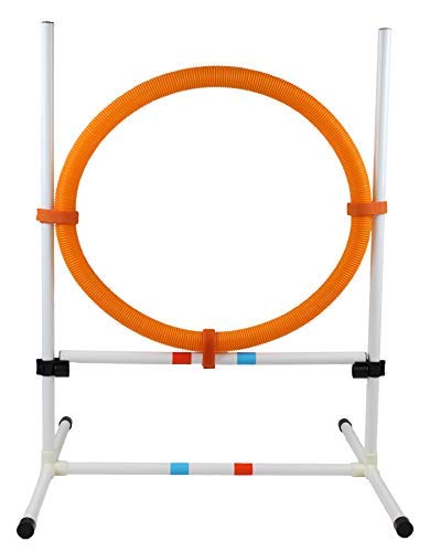 14 Best Agility Sets + Equipment for Dogs for Home Training