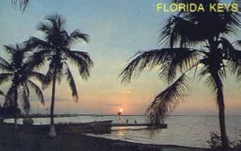 Florida Keys, Florida Postcard at Amazon's Entertainment Collectibles Store