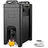 Amazon.com | COSTWAY Insulated Beverage Dispenser, 5 Gallon Ice and Hot ...