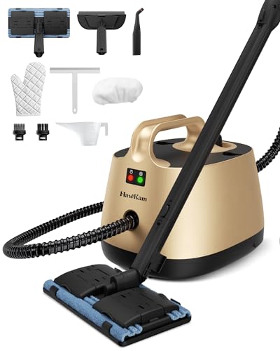 Top 10 Best Commercial Steamer For Cleaning : Reviews & Buying Guide ...