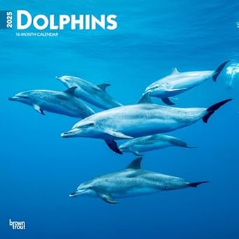 Dolphins | 2025 12 x 24 Inch Monthly Square Wall Calendar | Plastic ...