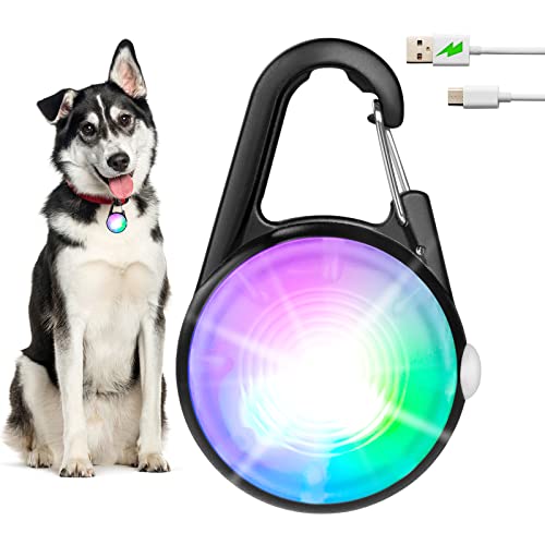 10 Best Dog Light For Night Walking