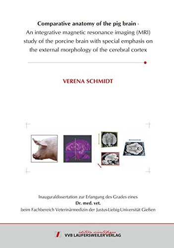Comparative anatomy of the pig brain - An integrative magnetic ...