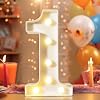 8.8" Decorative LED Light Up Numbers, Marquee Numbers Lights for 1st ...