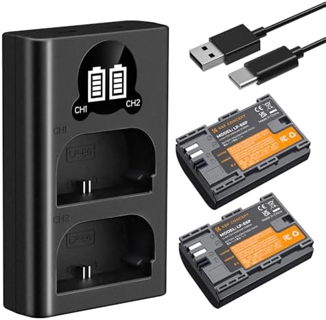 K&F CONCEPT LP-E6P 2400mAh Kamera-Akku , LCD Dual Slot Power Charger ...