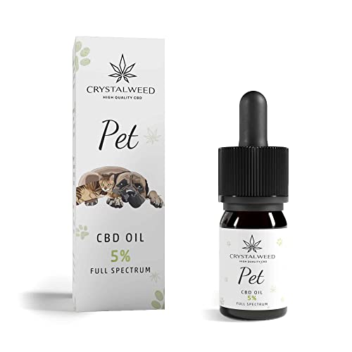 Olio di CBD per cani: come usare l'olio di canapa!