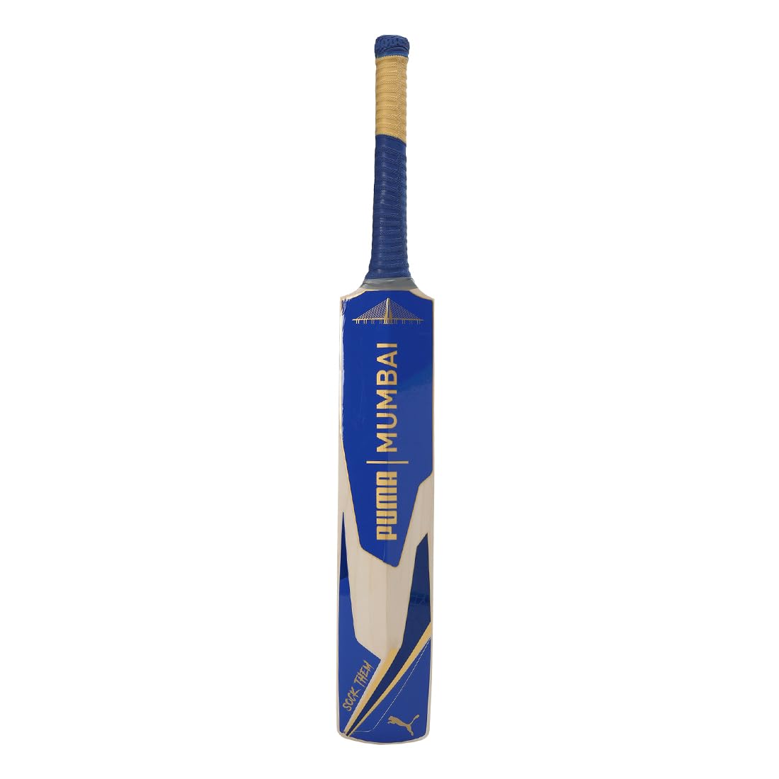 Puma Wood Mens Mumbai Jnr City Bat, Elektro Blue-Team Royal, 6 (5451301 ...