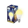 Buy PHILIPS 18-watt LED Bulb |AceBright High Wattage LED Bulb|Base: E27 ...