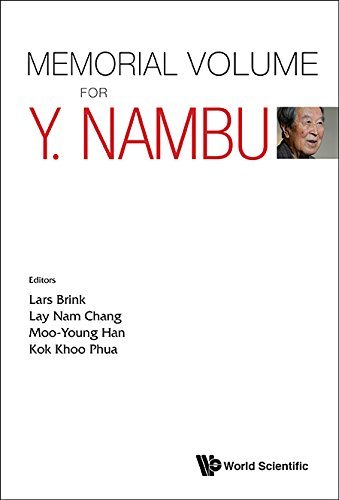 Memorial Volume for Y. Nambu by Lars Brink (2016-06-28): unknown author: Amazon.com: Books