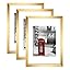 Scholar Tree Brown Picture Frame 12x16 (30x40cm) with Mount for 8.5x11 ...