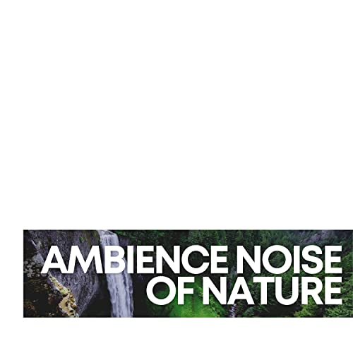 Amazon.com: Ambience Noise of Nature : Recording Nature, Sounds of the ...