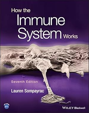 Immune: The new book from Kurzgesagt - a gorgeously illustrated deep ...