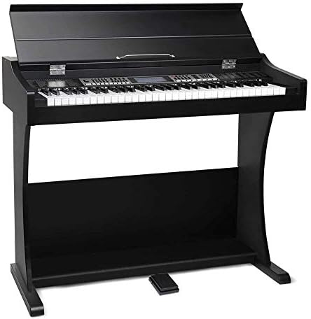 ALPHA 88 Keys Electronic Piano Keyboard Portable Digital Keyboard with ...